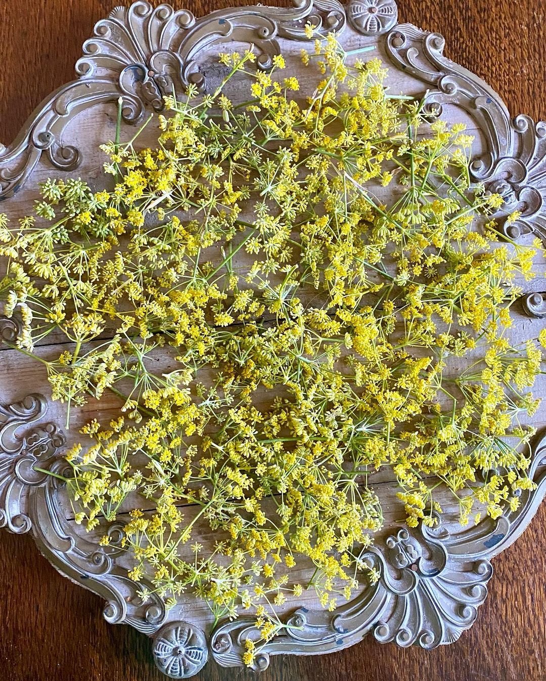 12 Must-Have Herbs You Can't Leave Crete Without - For The Love of Crete