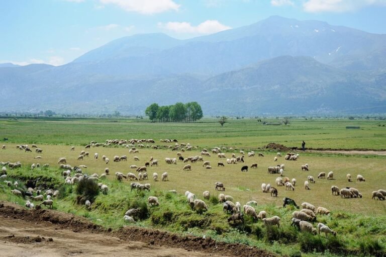10 Must-Visit Traditional Villages in Lasithi, Crete - For The Love of ...