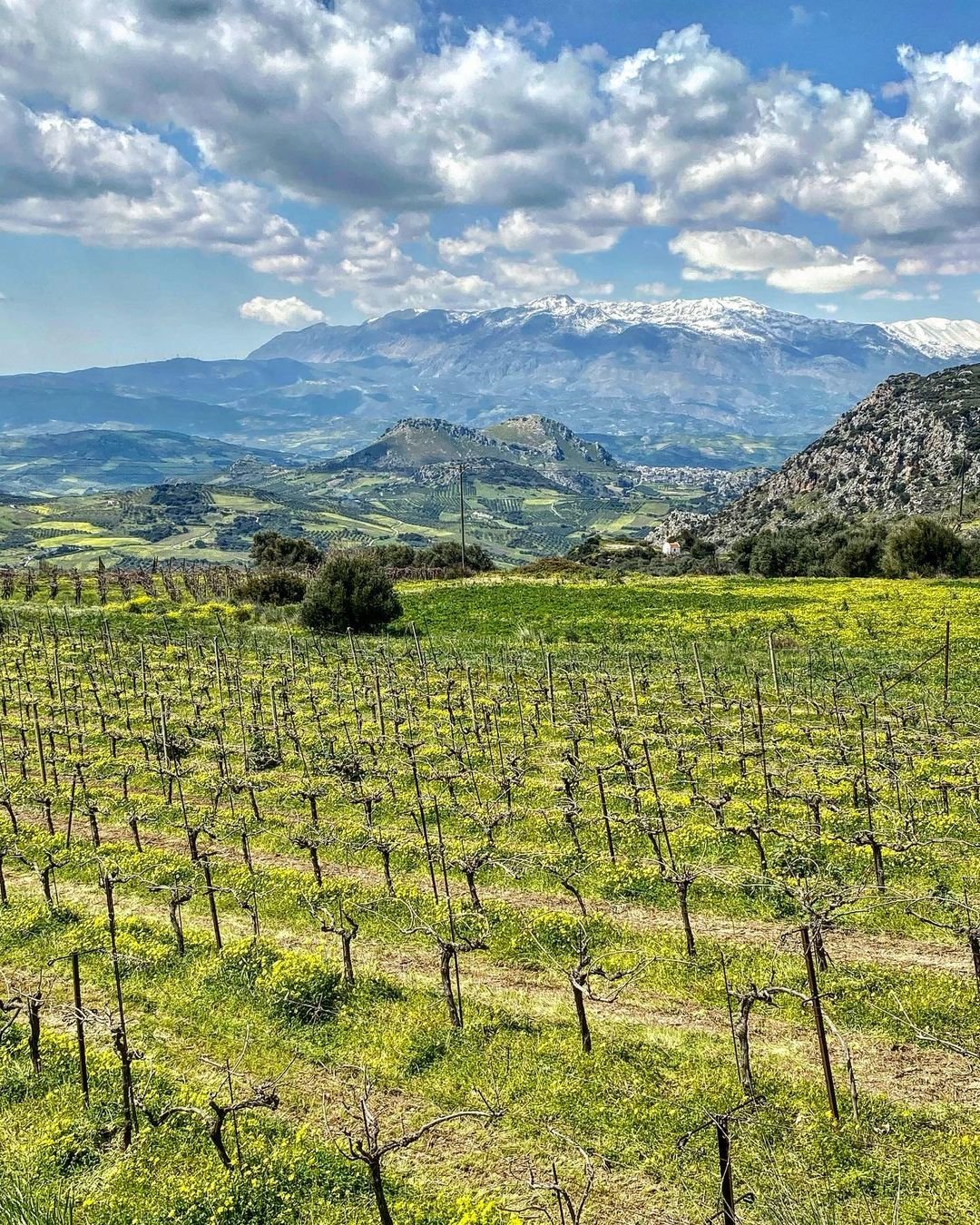 Crete as a Second Home: What Makes This Greek Island Irresistible - For ...