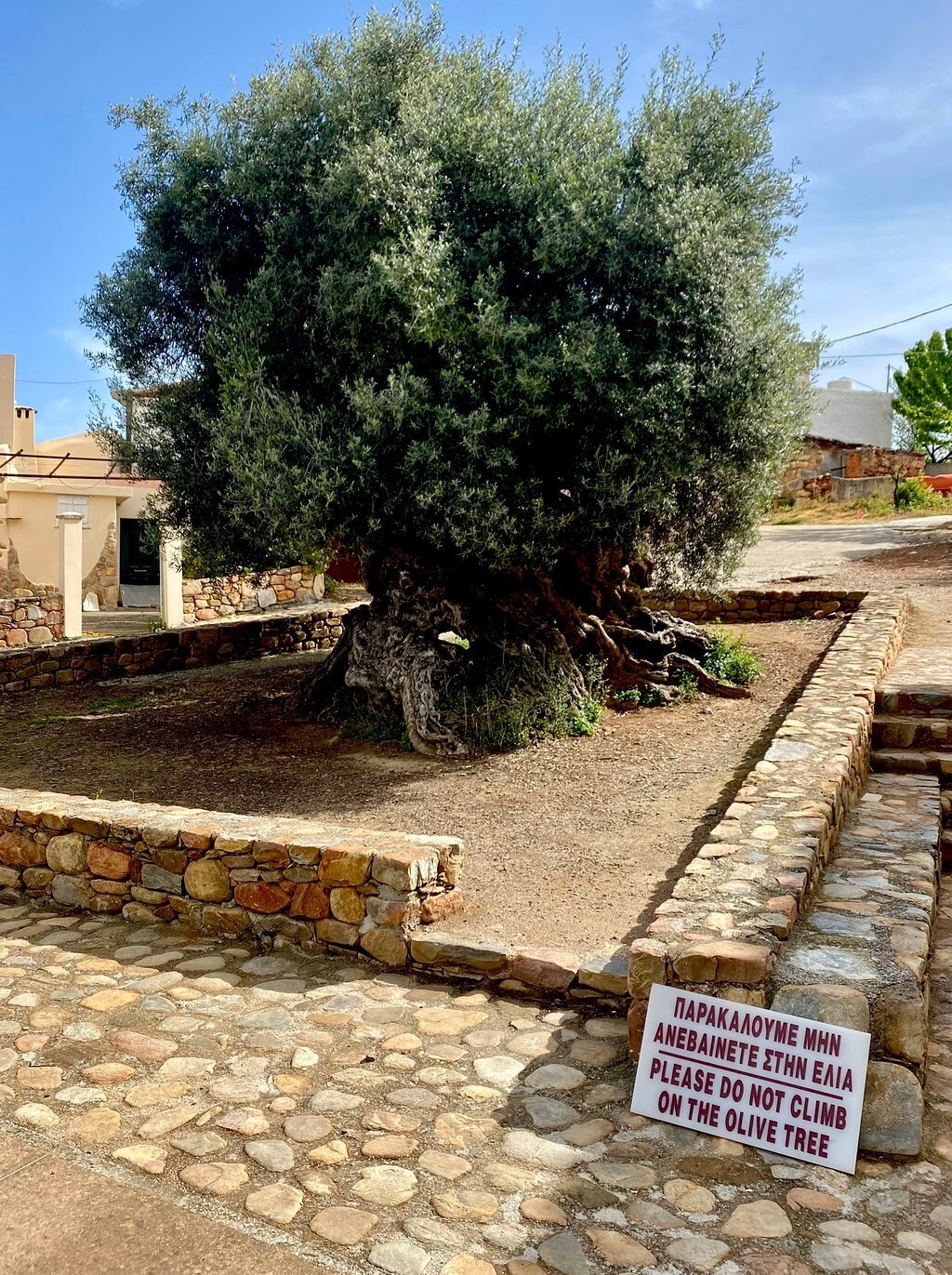 15 Amazing Day Tours From Chania You'll Wish You Knew About Sooner ...