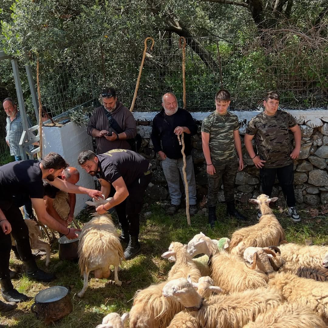 8 Cheese Varieties You Need to Try in Crete (+ A Must-Visit Cheese Farm ...